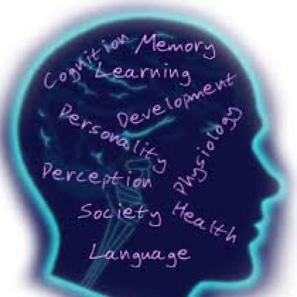 Psihologia cognitiva